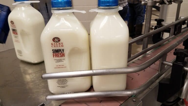 Delivering Milk the Old-Fashioned Way | Delivery MIlk