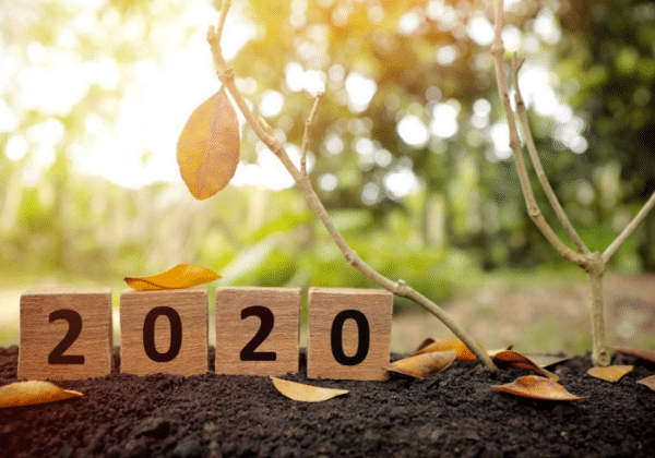 A look back at 2020 | American Dairy Association North East