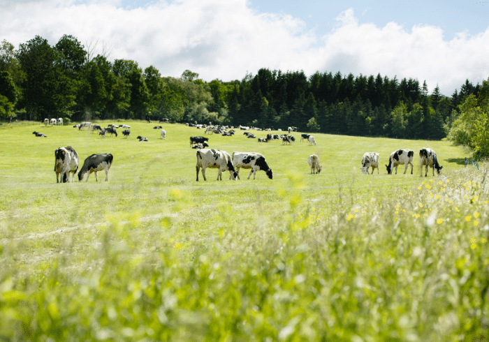 Farm Conservation Practices | American Dairy Association NE