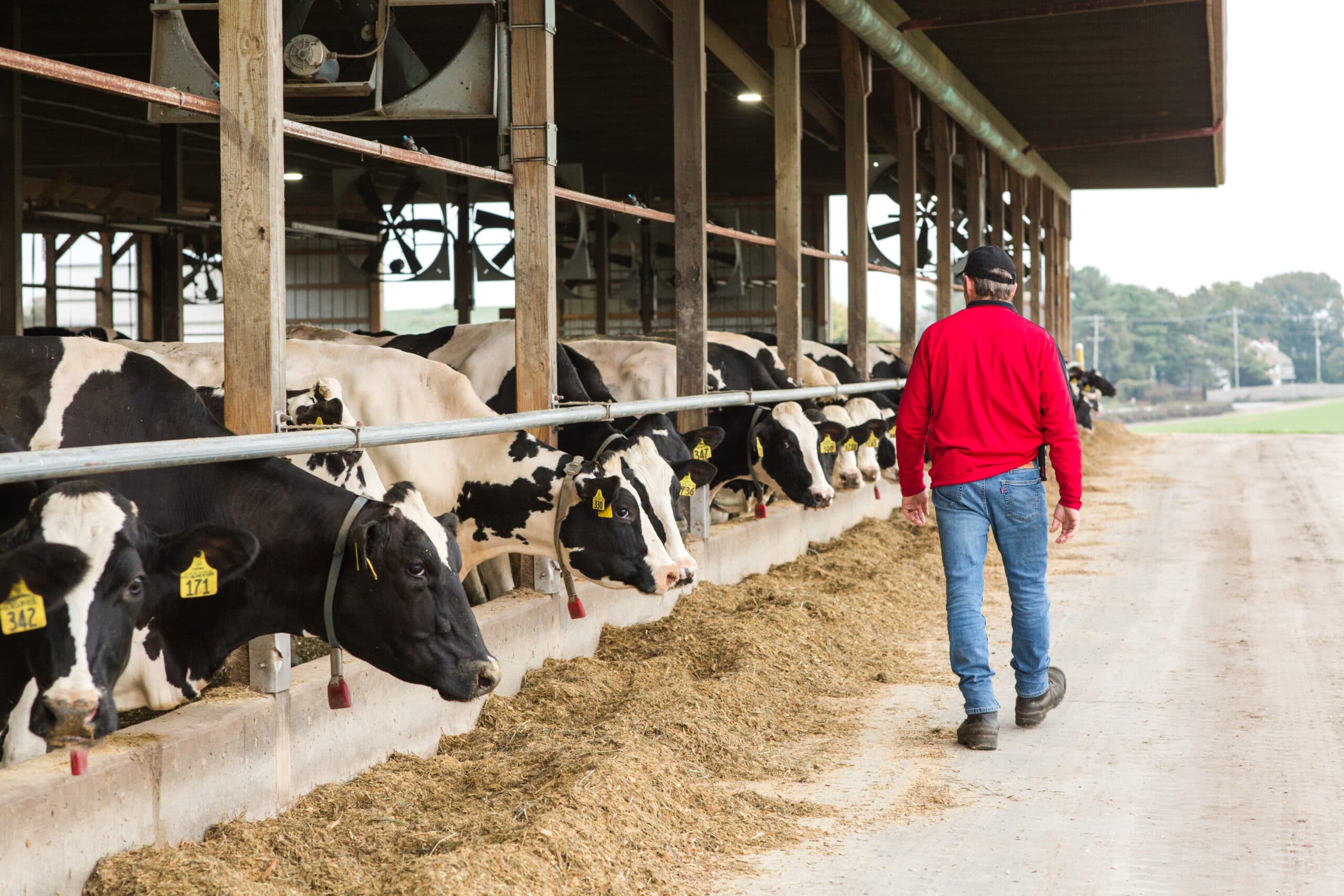 About American Dairy Association North East | ADANE
