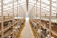 How Milk Gets to Stores and Your Table | American Dairy Association NE