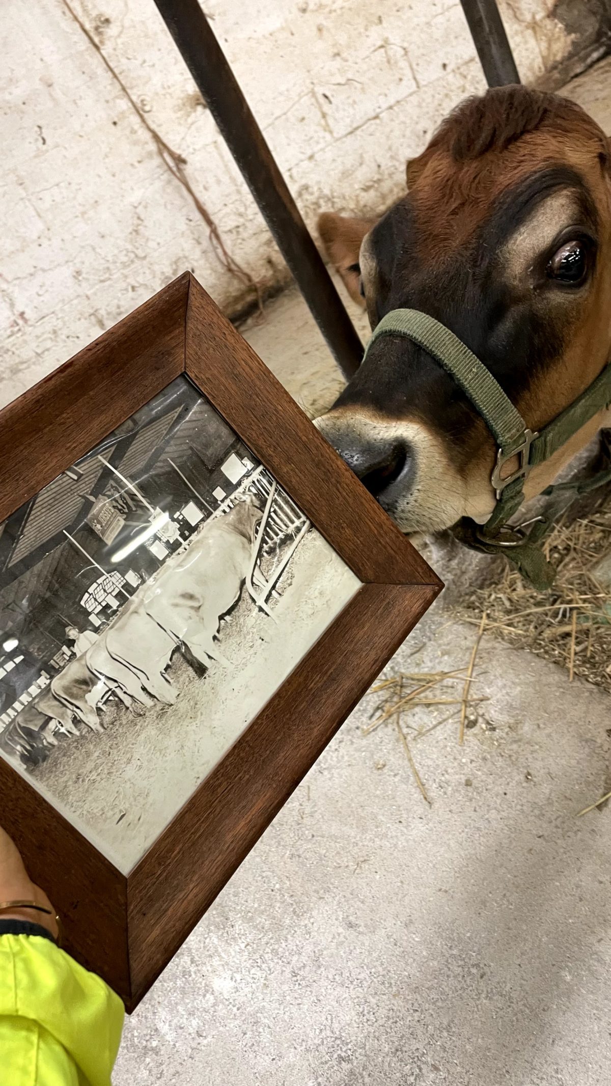 Century Farm Celebrates | American Dairy Association NE