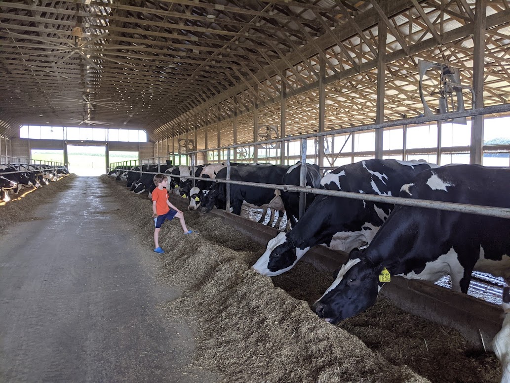 2021 Dairying for Tomorrow | American Dairy Association NE