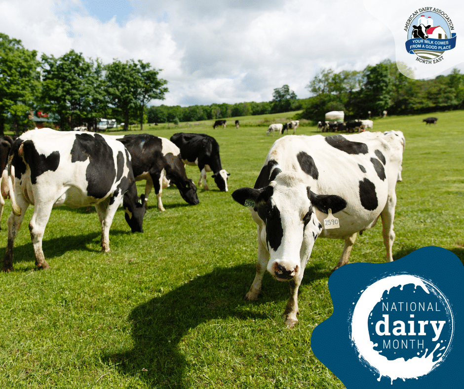 National Dairy Month June 22 | American Dairy Association NE