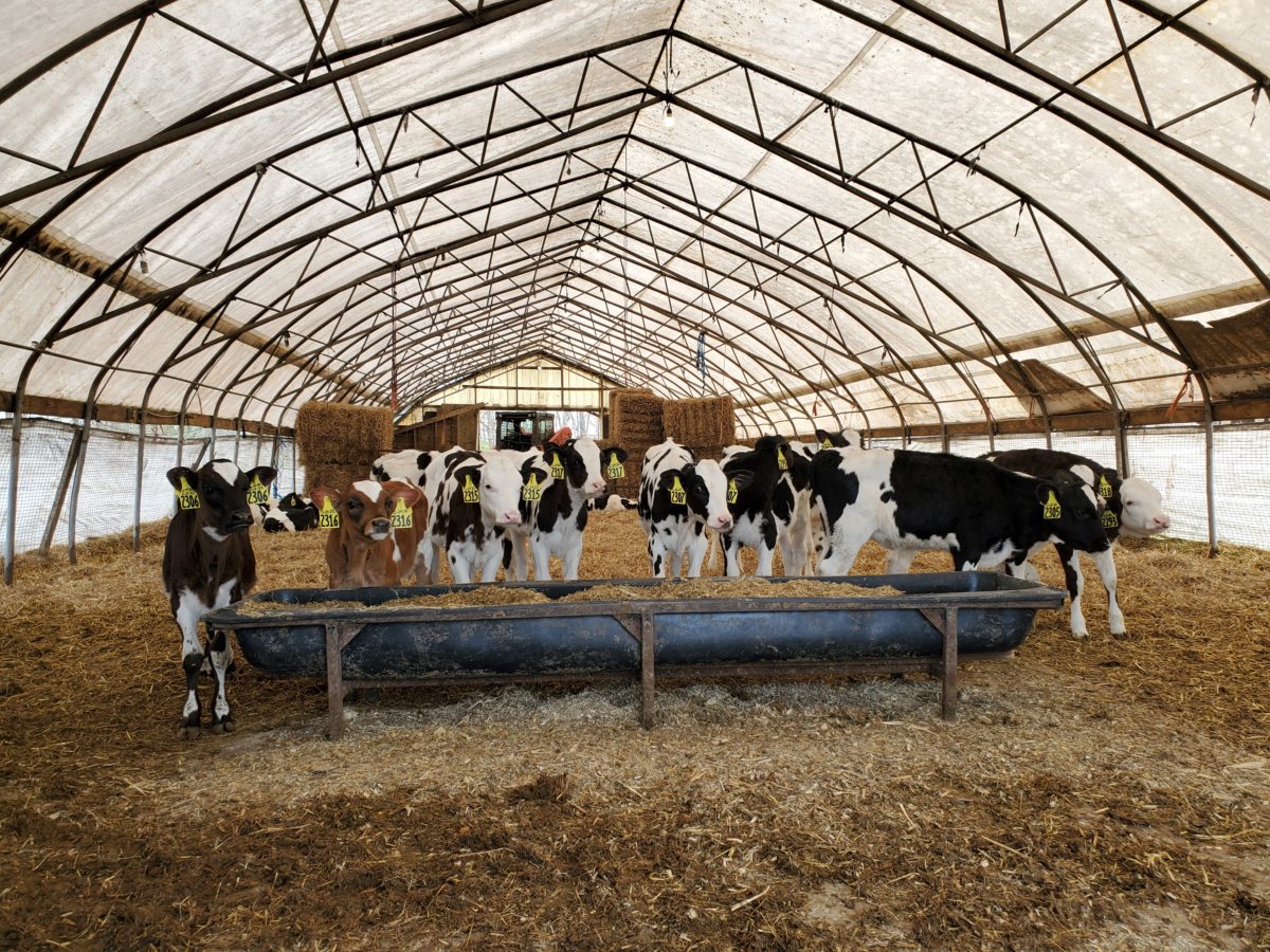 Happiest Person I Know | American Dairy Association North East