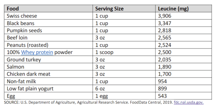 Leucine and Muscle Growth | American Dairy Association NE