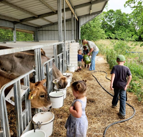 Young Farmer, New Business | American Dairy Association North East