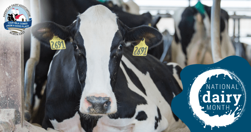 National Dairy Month - June 2023 | American Dairy Association NE