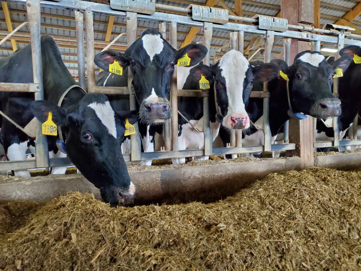 Sustainable Sunsets, Meaningful Harvests | American Dairy Association ...