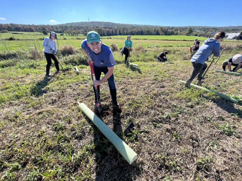 Trees Planted on Dairy Farm Keep Local Waters Clean | American Dairy ...