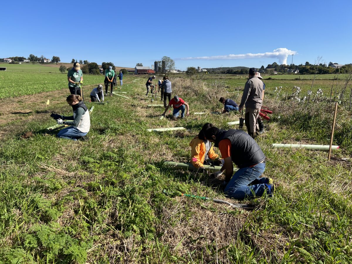 Trees Planted on Dairy Farm | American Dairy Association NE