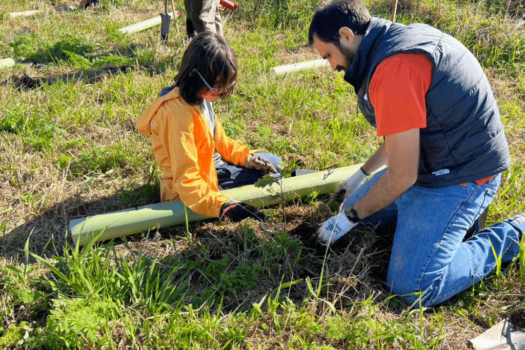 Trees Planted on Dairy Farm | American Dairy Association NE