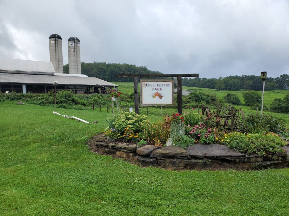 Land of Dreams: Couple Creates Dairy Destination | American Dairy ...