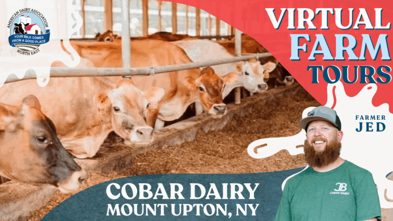 Virtual Farm Tours | American Dairy Association North East